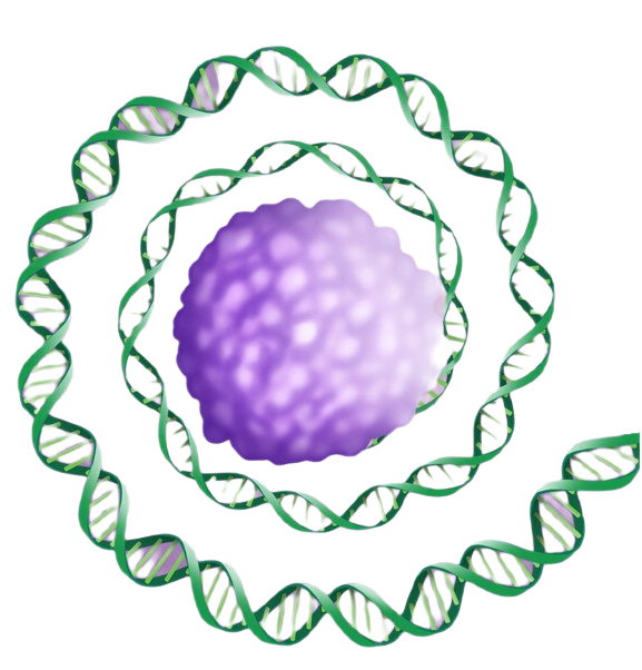 Iso Seq Pacbio Transcriptome Sequencing Geneethic